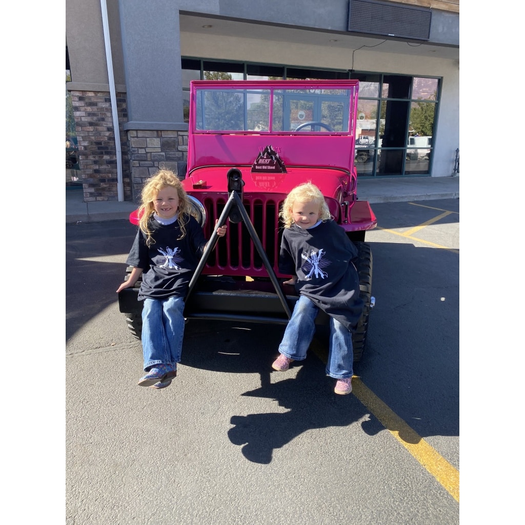 Hot Pink Pearl Basecoat Clearcoat Auto Paint Kit Options ...