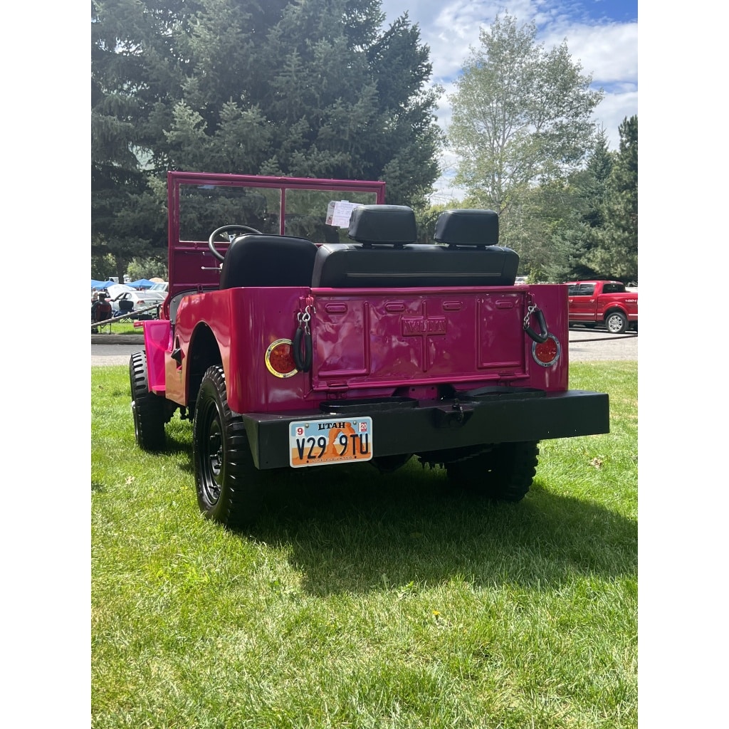 Hot Pink Pearl Basecoat Clearcoat Auto Paint Kit Options ...