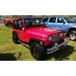 Hot Pink Pearl Basecoat Clearcoat Auto Paint Kit Options ...