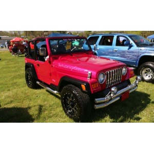 Hot Pink Pearl Basecoat Clearcoat Auto Paint Kit Options ...