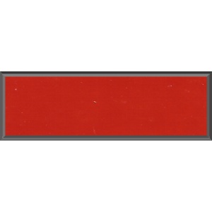 1969 Dodge Charger - Charger Red Code R4 Basecoat Clearcoat Paint Kit ...