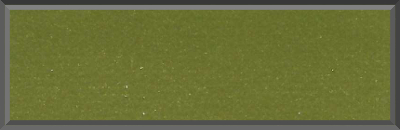 1970 Chevrolet Nova - Citrus Green Poly Code 43 Basecoat Clearcoat ...