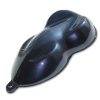 Black 2K Urethane Candy Auto Paint Kit Options - TheCoatingStore.com