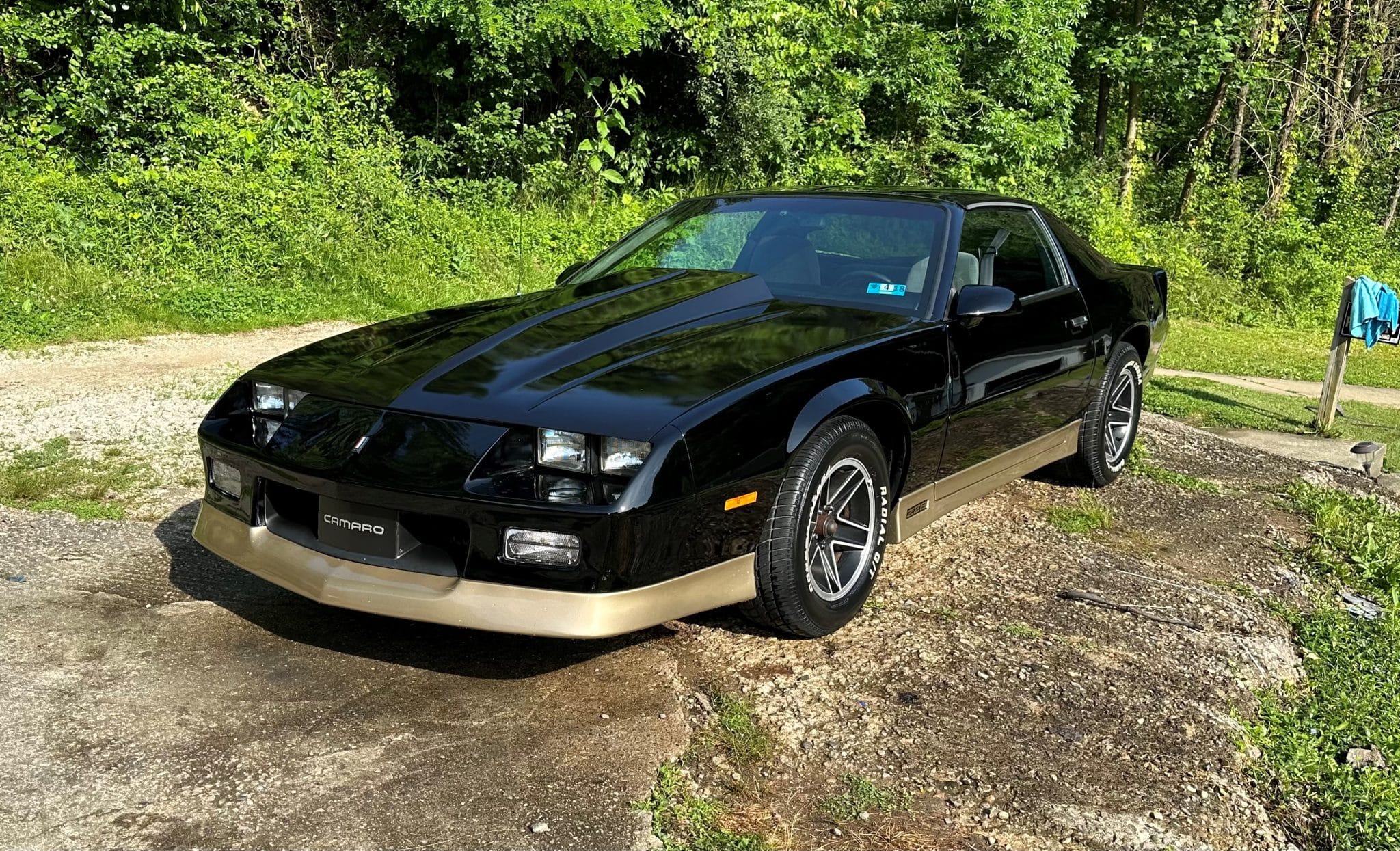 Chevy GM WA-8575 Code 58 Light Chestnut Metallic Basecoat Clearcoat ...