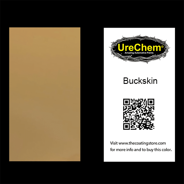 Buckskin Paint Color Buckskin (horse) Wikipedia