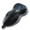 Phantom Black Pearl Single Stage Auto Paint Kit - TheCoatingStore.com